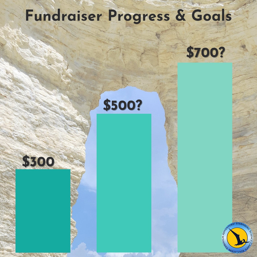 Fundraiser for Sternberg Science Camps | Paleontology Fundraiser ...